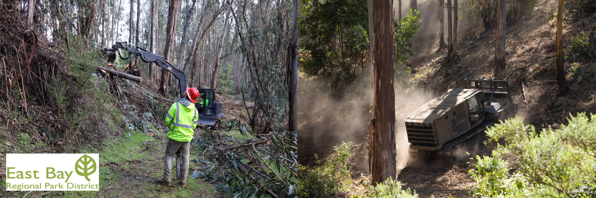 Park District completes 667-acre Fuels Reduction Project in East Bay ...