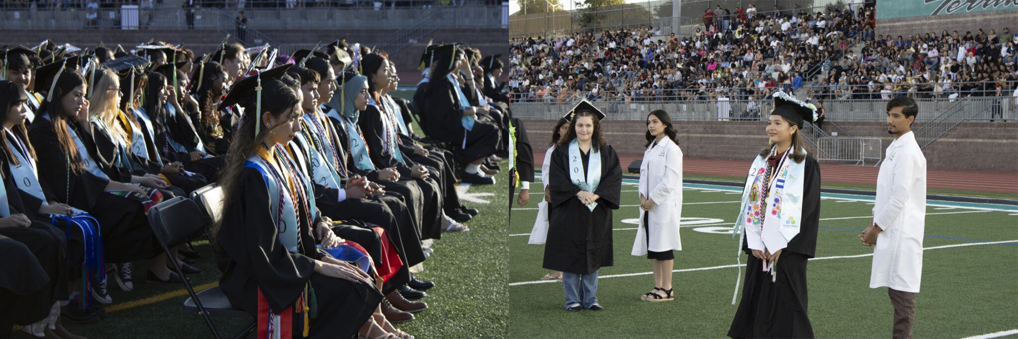 Dozier-Libbey Medical High School sends off 151 Class of 2025 grads ...